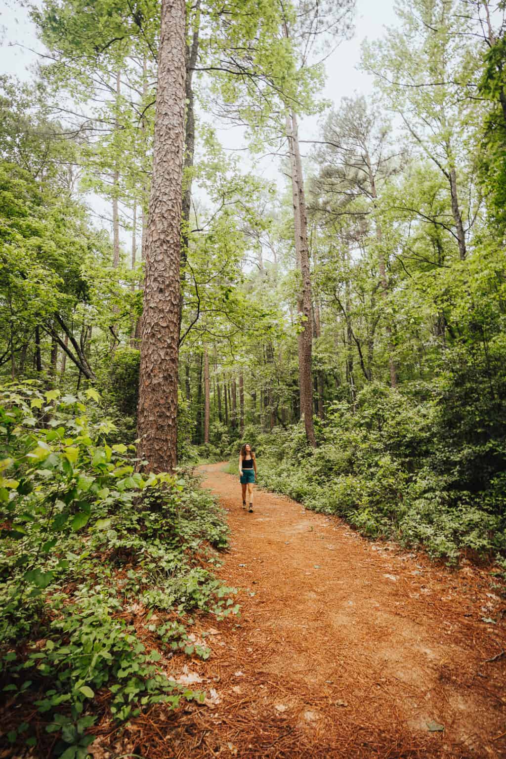 Southern Pines NC: 16 Fun Things To Do Outside