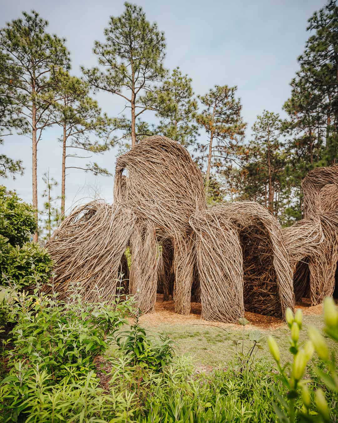 Southern Pines NC: 16 Fun Things To Do Outside