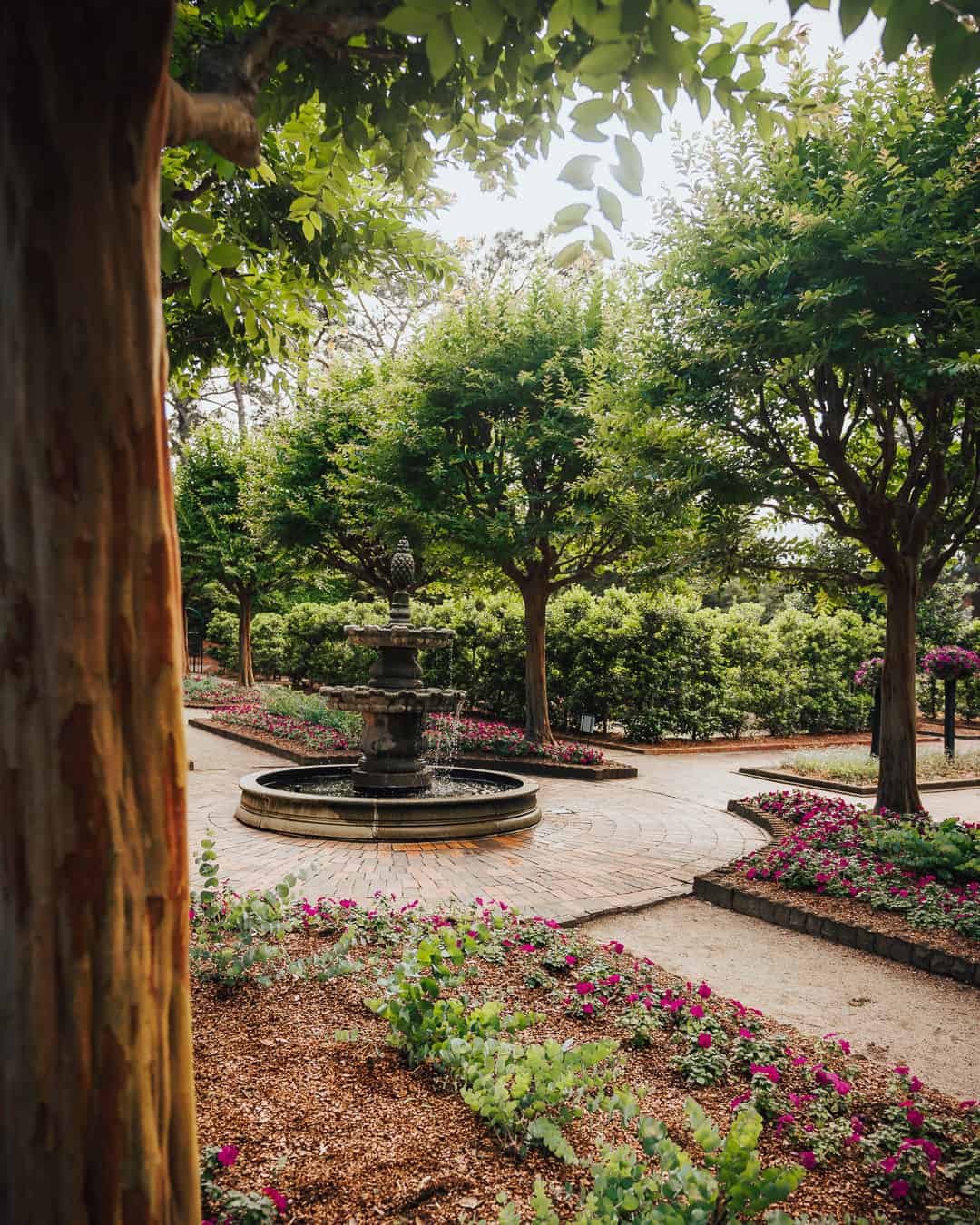 Southern Pines NC: 16 Fun Things To Do Outside
