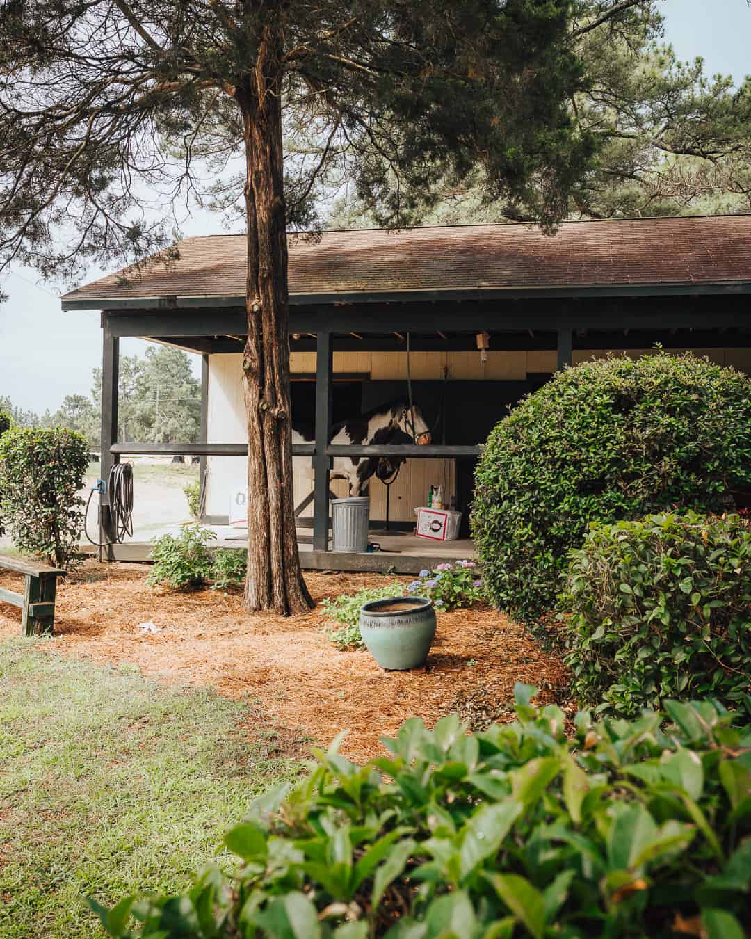 Southern Pines NC: 16 Fun Things To Do Outside