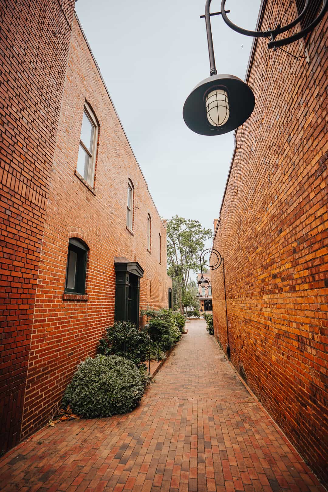 Southern Pines NC: 16 Fun Things To Do Outside