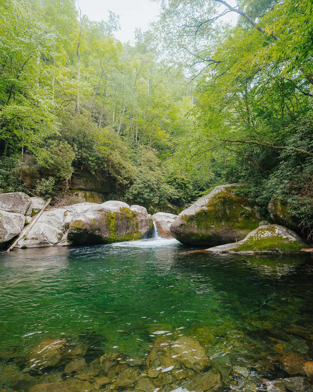 7 North Carolina Swimming Holes To Explore in the Summer